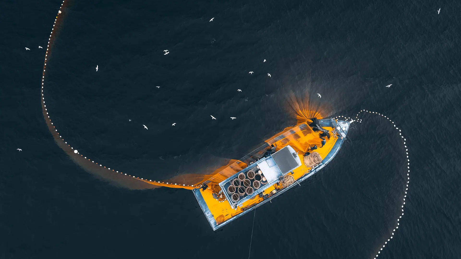 Vessel Tracking - Global Fishing Watch